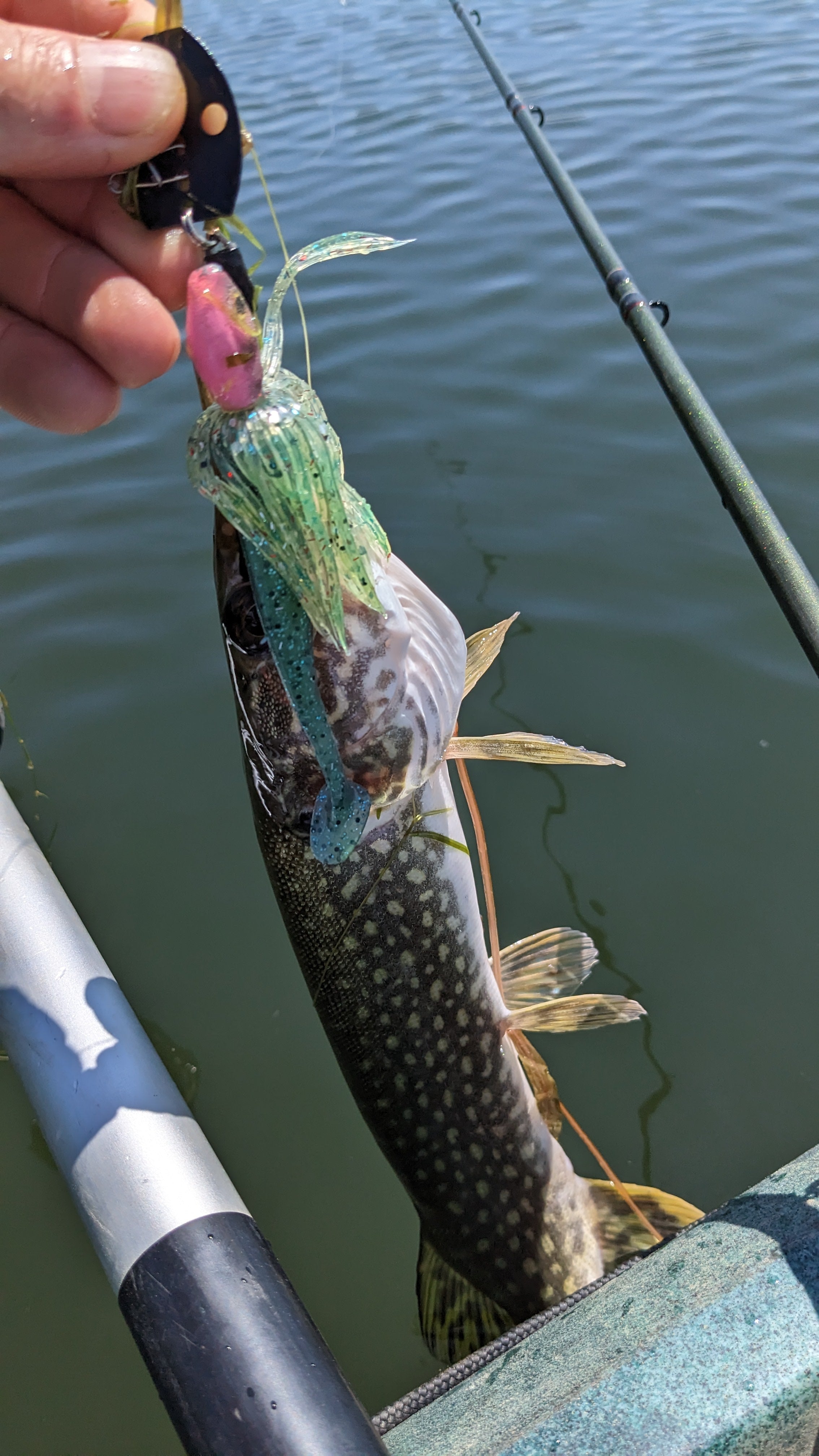 Bass/Walleye Swimbaits – Frenchcreekfishingcompany